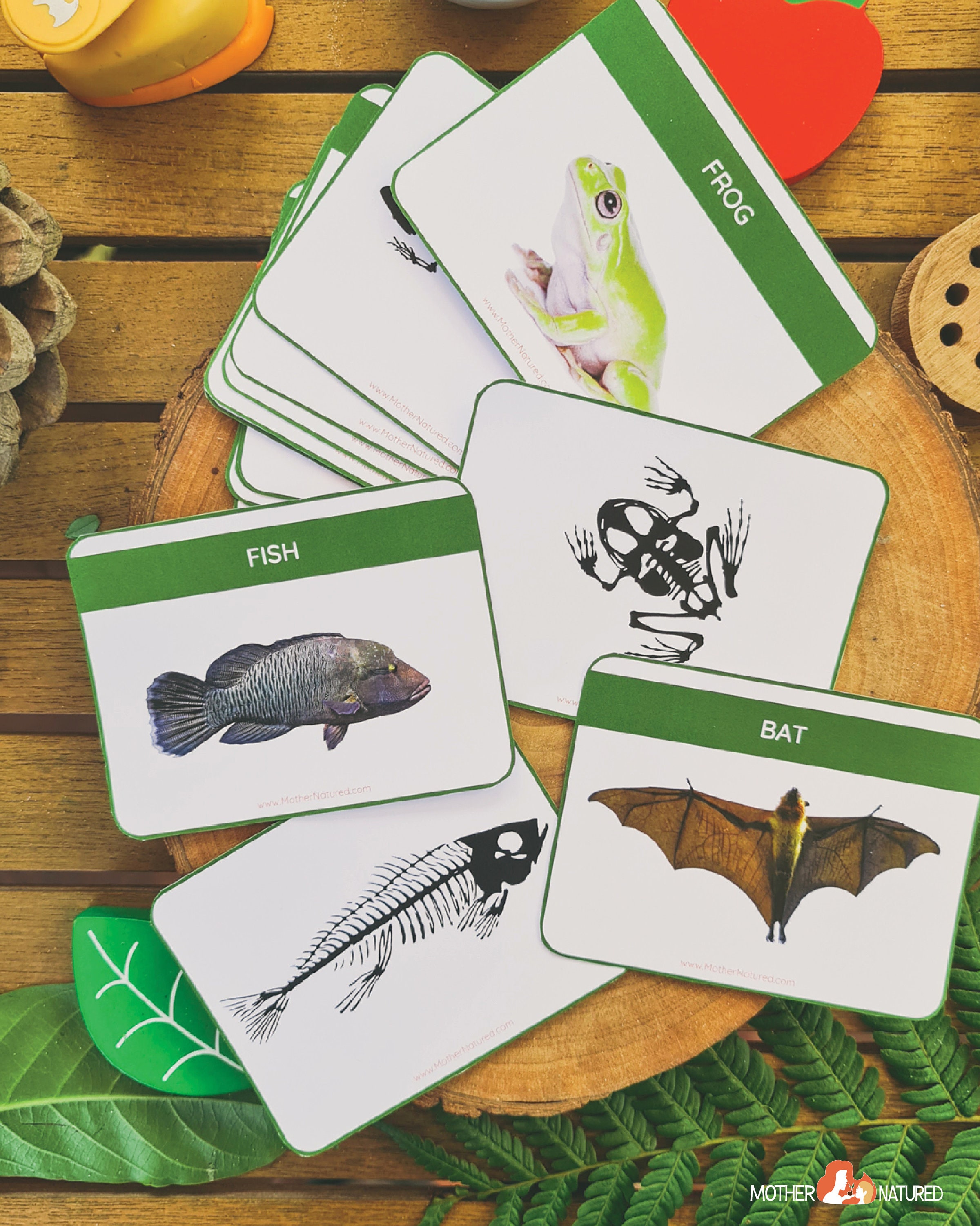 ANIMAL SKELETON MATCHING Cards for Kids | Skeleton Printable for Kids ...