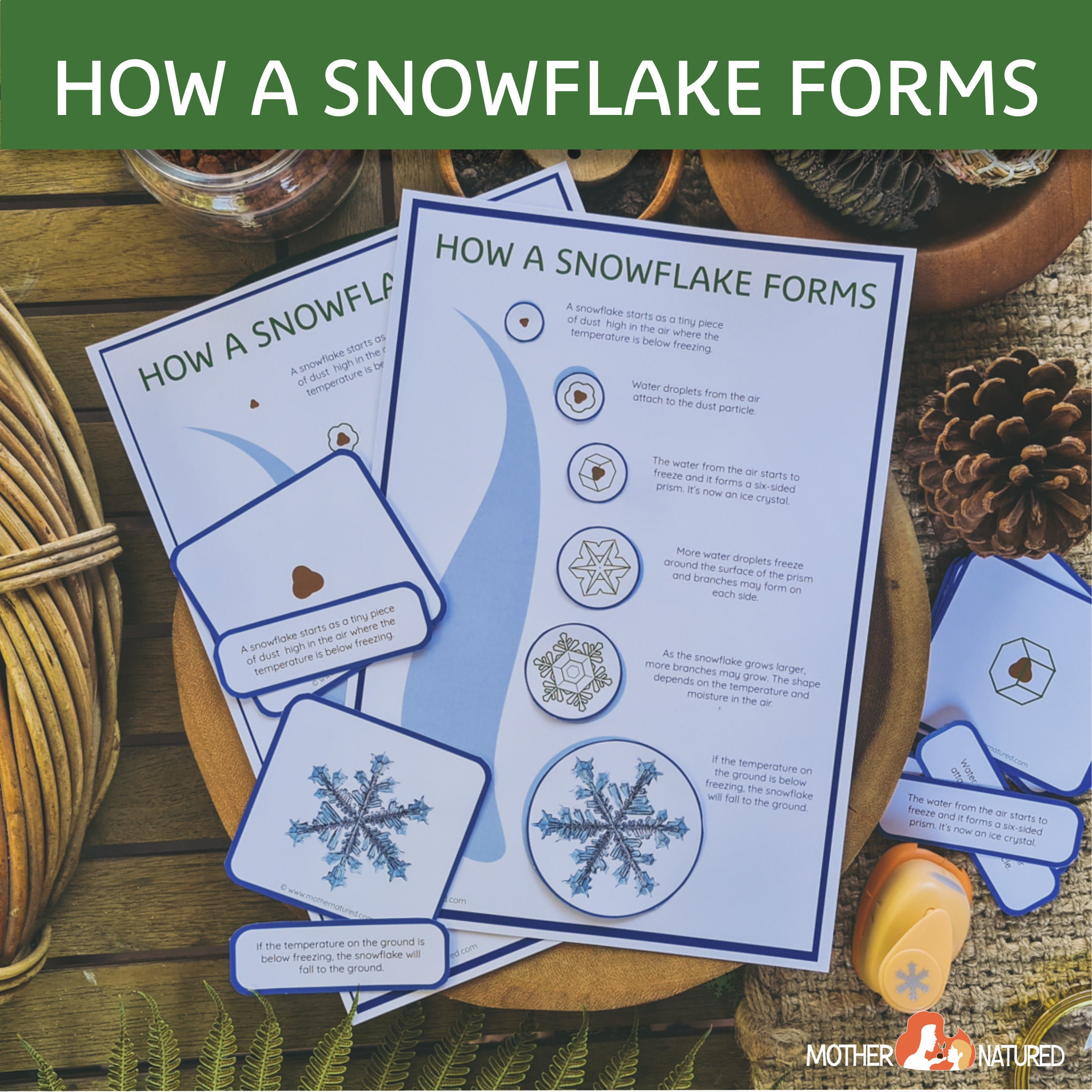 How Snowflakes Are Formed Poster and Activity Snowflake Life Cycle ...