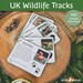 British Animal Tracks Guide Animal Tracking for Kids United Kingdom ...