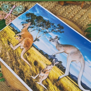 Australian Animal Puppets | Koala Puppets | Kangaroo Puppets | Wombat ...