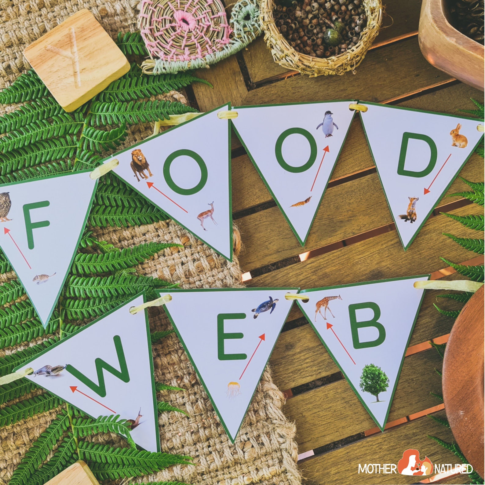 Food Chain Posters and Bunting Food Web Posters and Bunting - Etsy