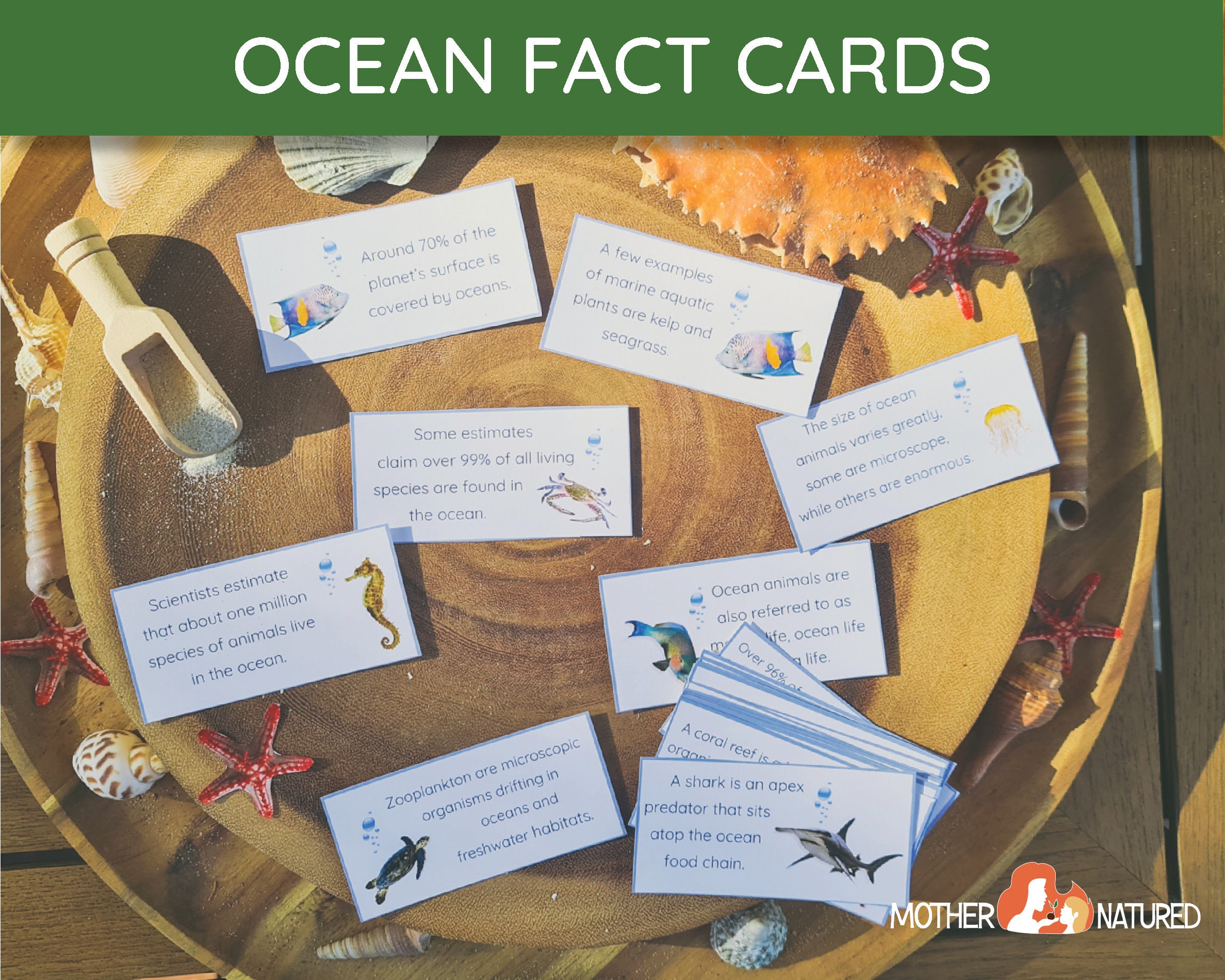 Ocean Fact Cards Ocean Cards Ocean Invitation to Play Idea - Etsy