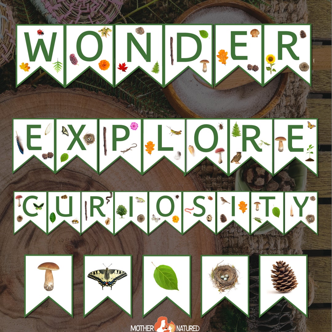 Nature Classroom Decor Bunting | Nature Classroom Decorations | Wonder ...