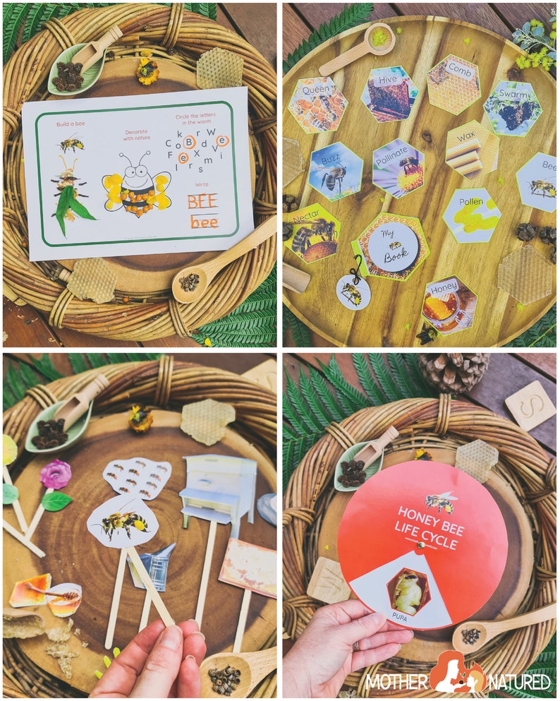 World Bee Day Printable Activity Pack | Bee Life Cycle, Bee Crafts, Bee ...