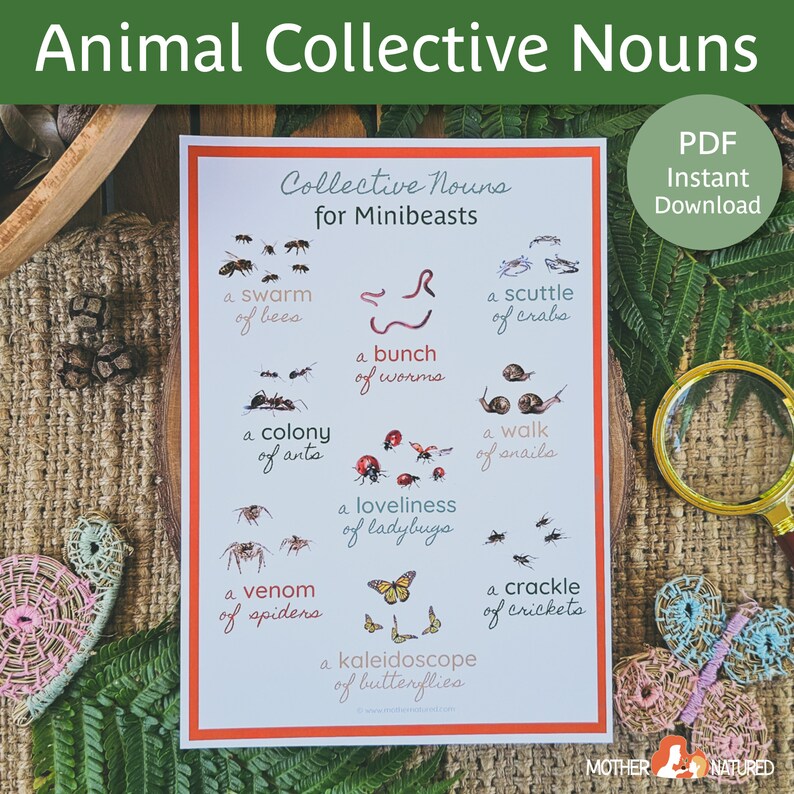 Collective Nouns for Animals | Collective Nouns Poster | Collective ...