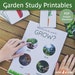 Garden Activity Printables for Kids Garden Resources Gardening With ...