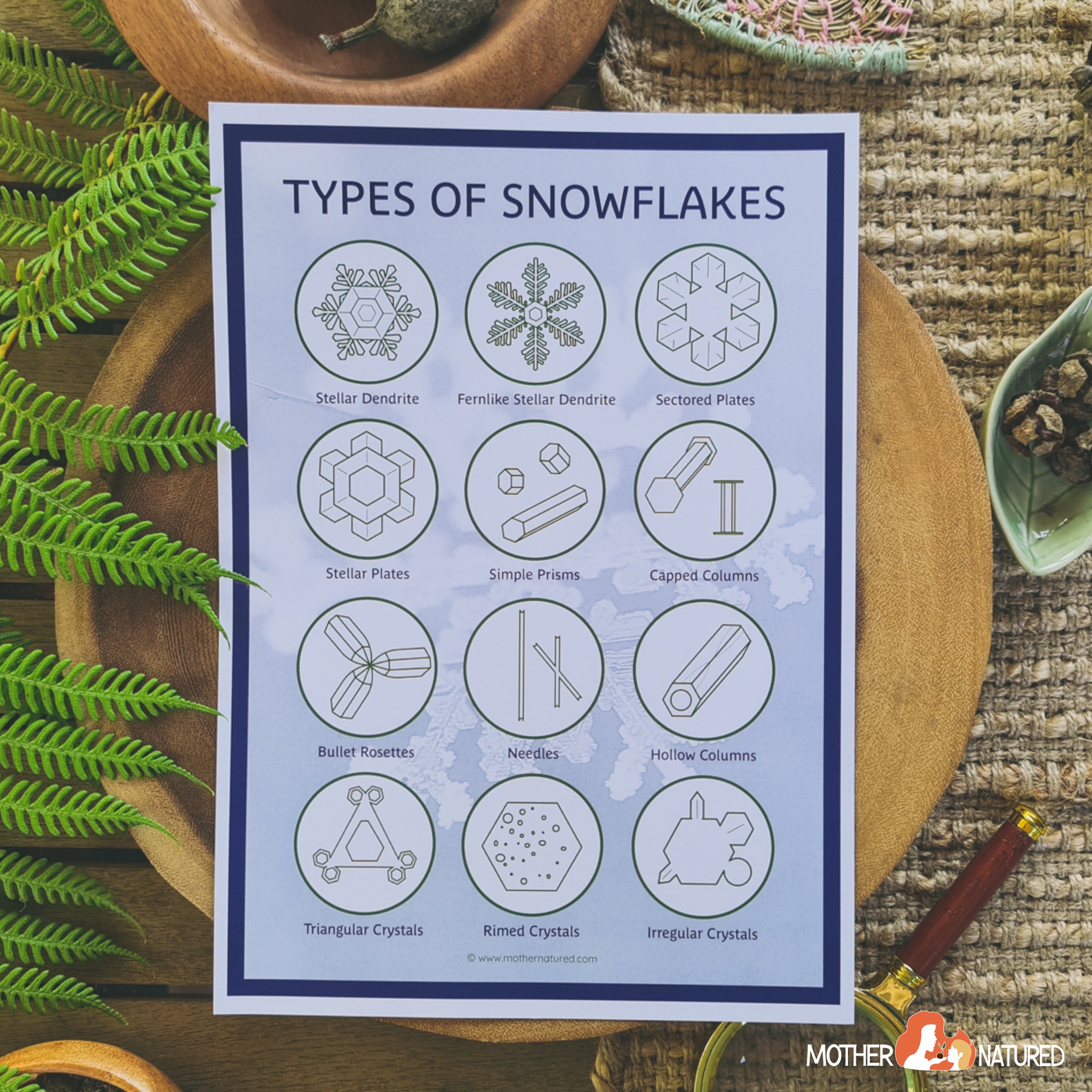 Types of Snowflakes Poster Snow Poster Snowflake Poster Winter Poster ...