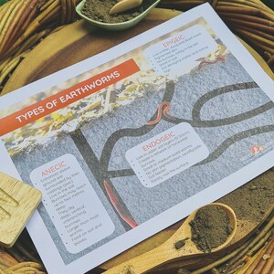 Earthworm Study Bundle Earthworm Activities Earth Worm - Etsy