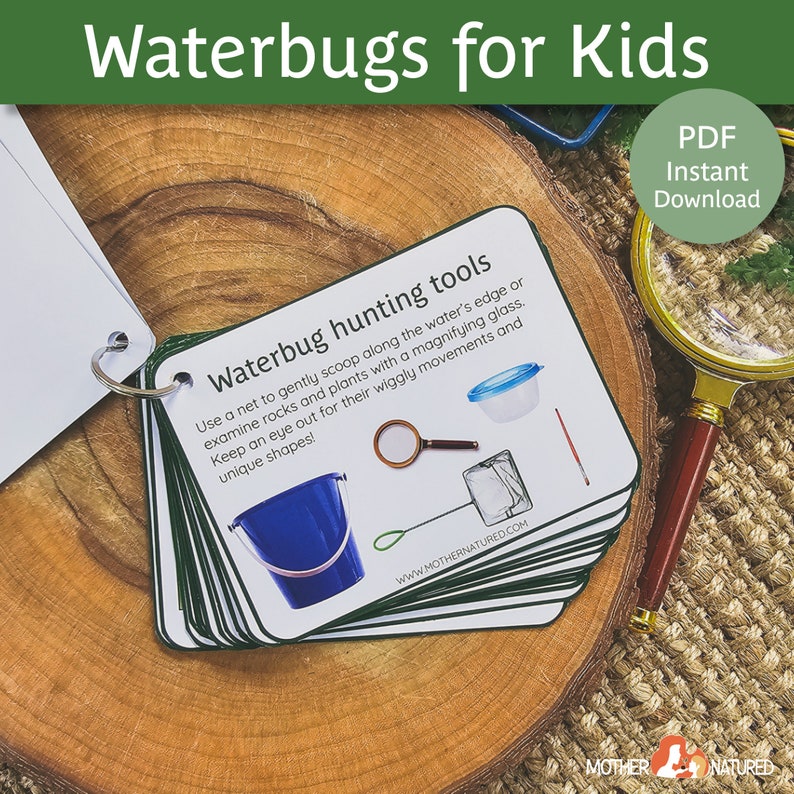Waterbug Identification for Kids Aquatic Macroinvertebrates for Kids ...