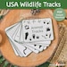 American Animal Tracks Guide Animal Tracking for Kids USA Animal ...
