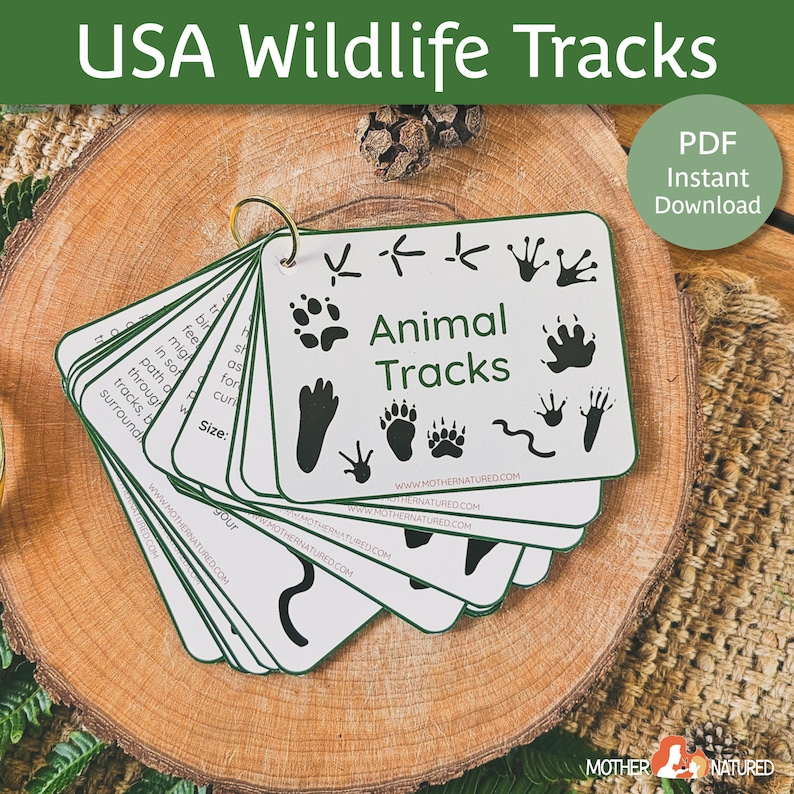 American Animal Tracks Guide Animal Tracking for Kids USA Animal ...
