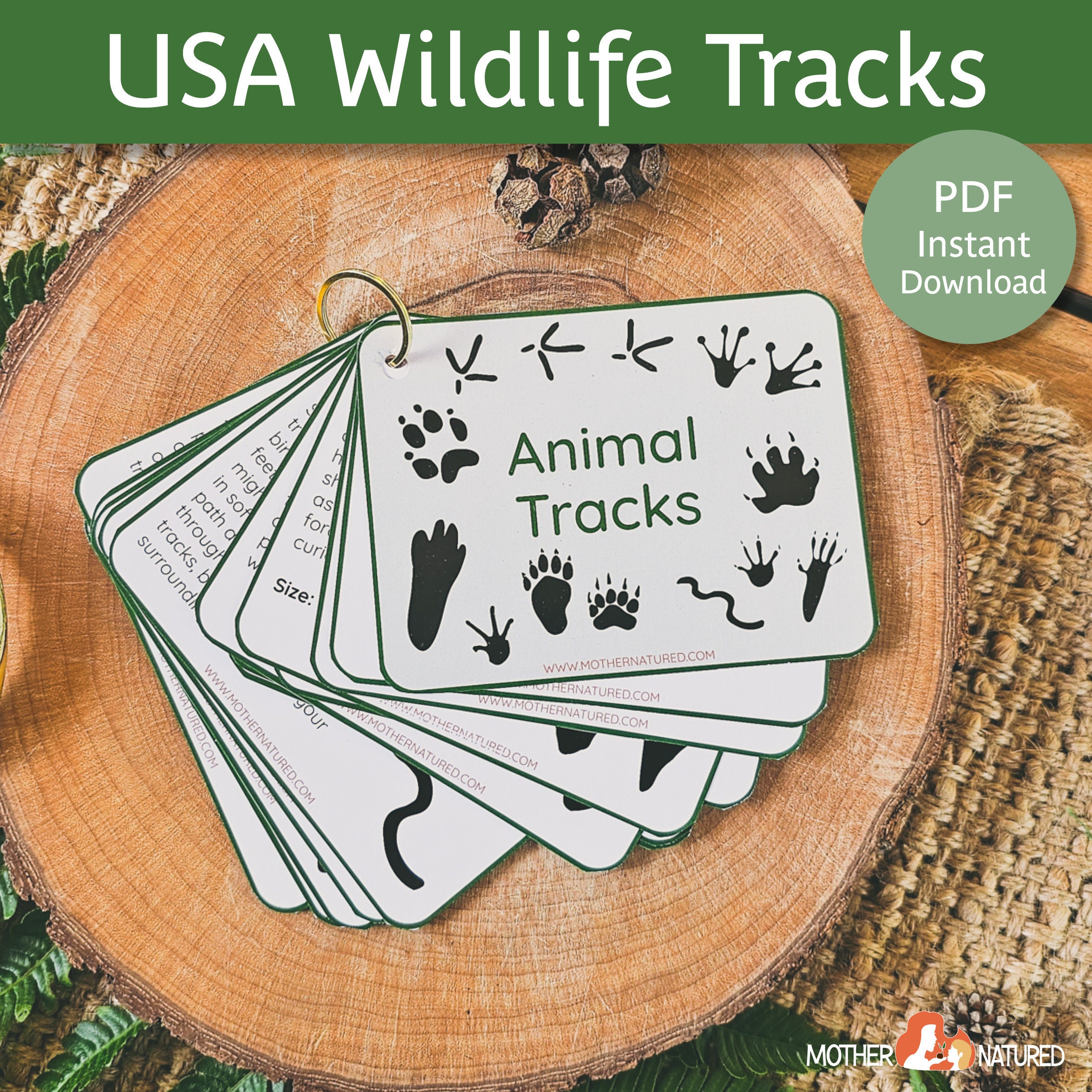 American Animal Tracks Guide Animal Tracking for Kids USA Animal ...