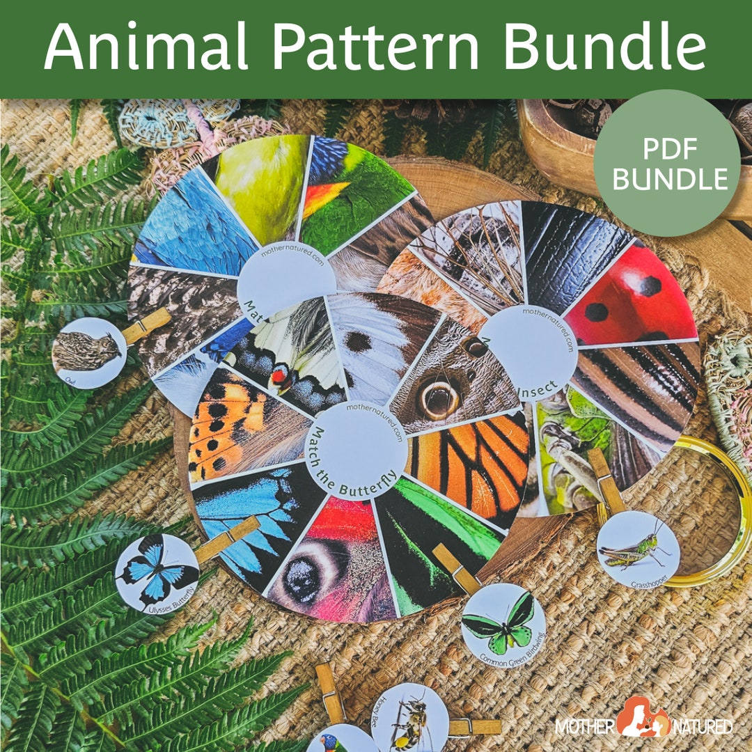 Animal Matching Activity BUNDLE | Animal Patterns | Pattern Activity ...