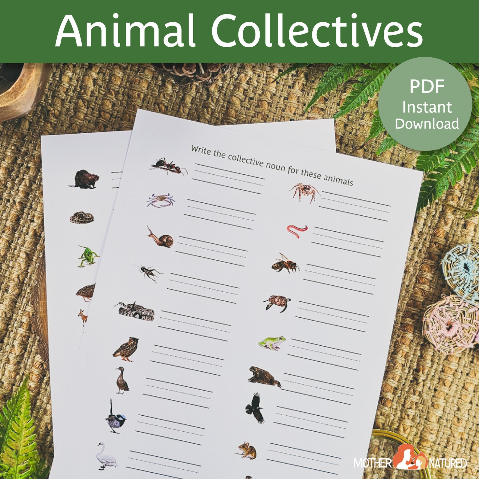 Animal Collective Nouns PACK | Collective Nouns BUNDLE| Wildlife ...