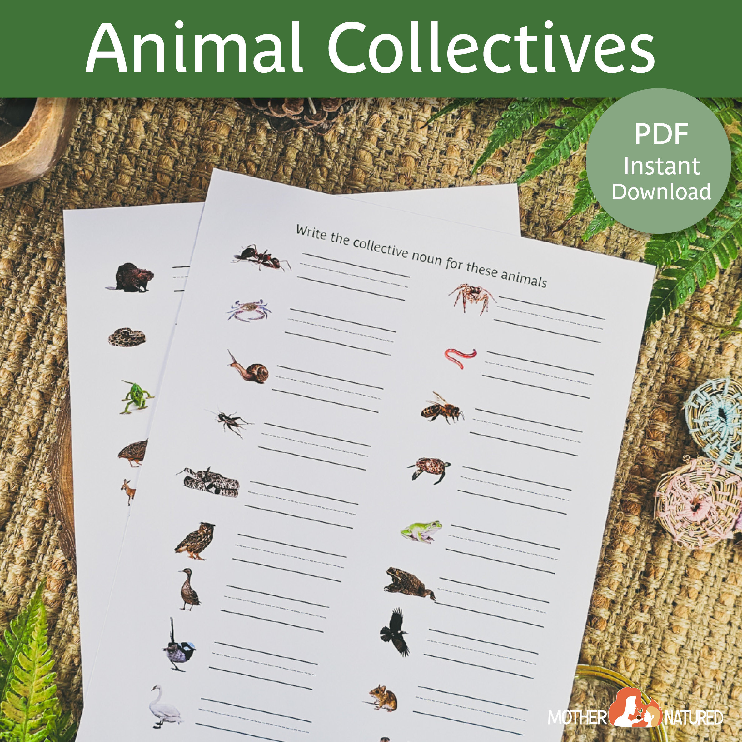 Animal Collective Nouns PACK Collective Nouns BUNDLE - Etsy
