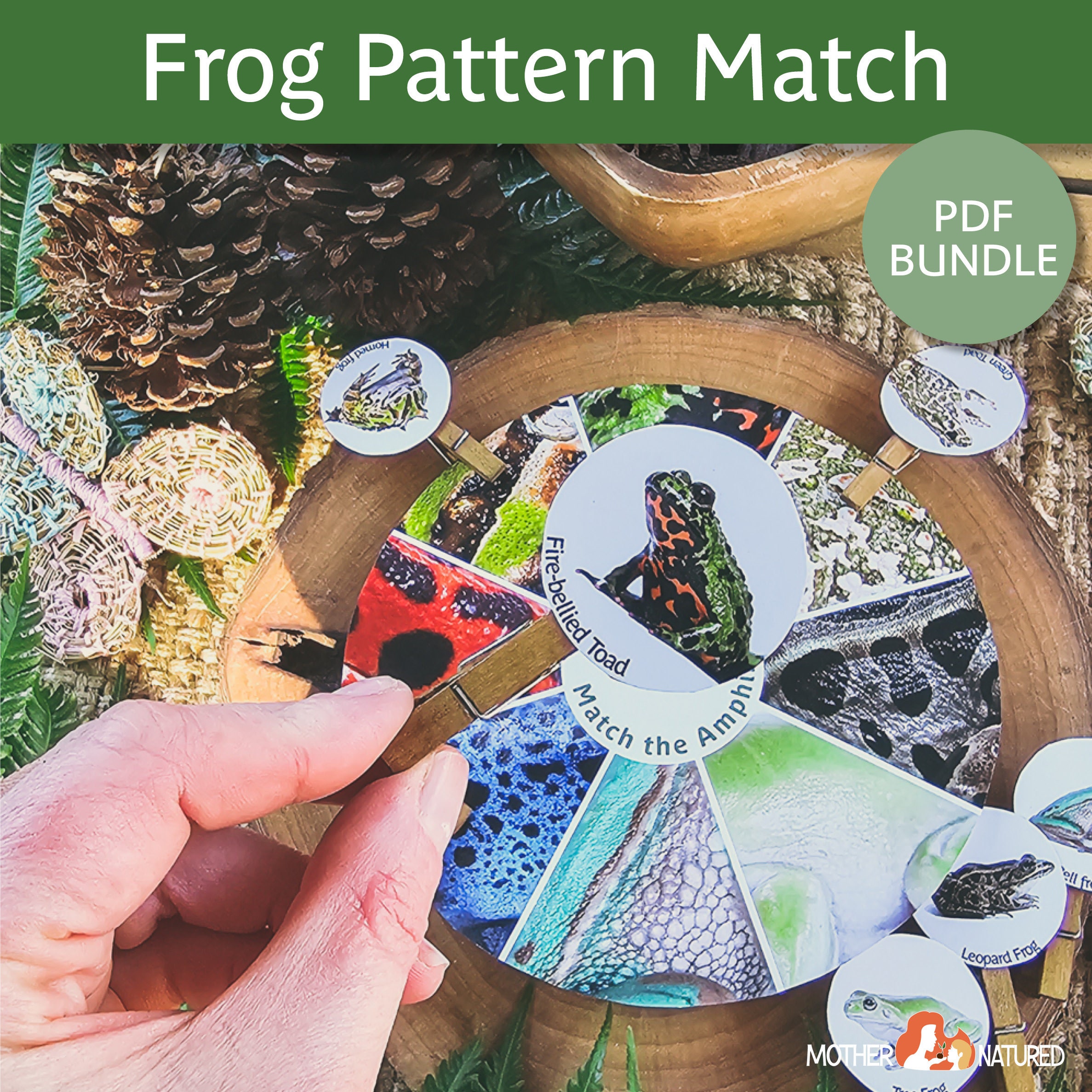 Frog Matching Activity Frog Game Pattern Activity - Etsy