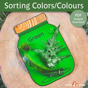 Sorting Color Activity | Sorting Colour Activity | Colour Recognition ...