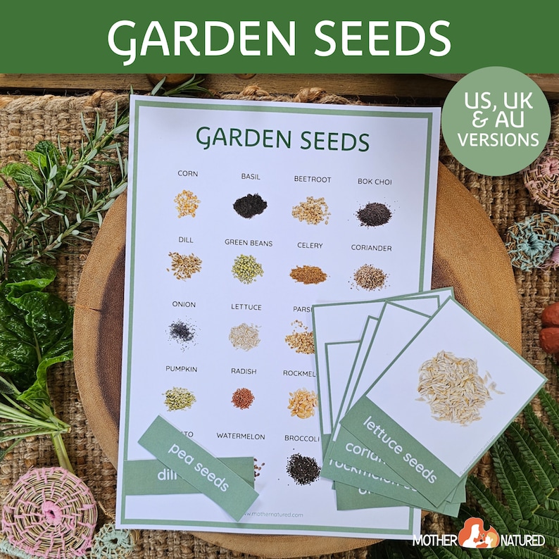 Garden Seed Printables Vegetable Seed Poster Garden Seed Flash Cards ...