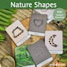 Nature Shapes Loose Parts | Nature Shapes Preschool | Nature Shapes ...