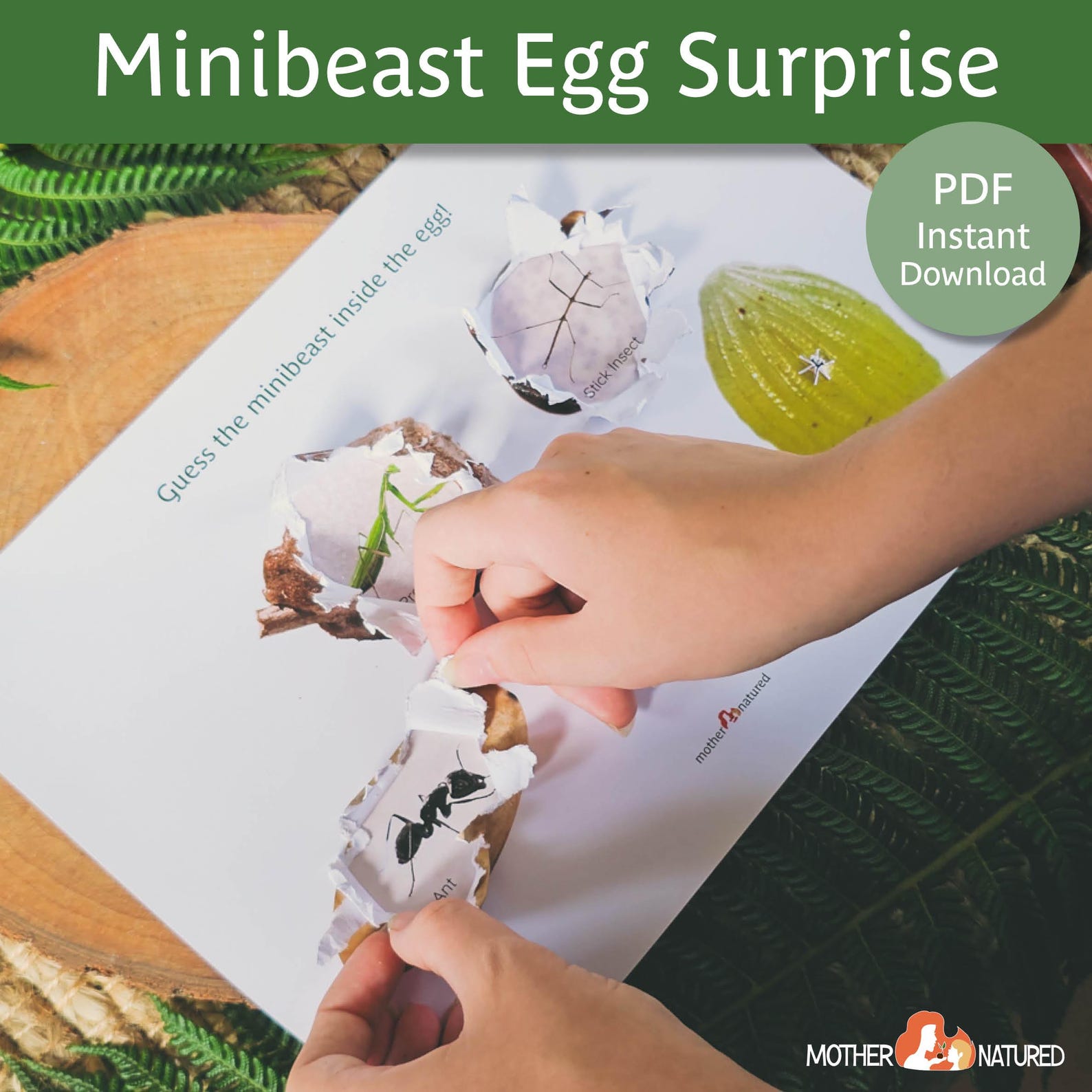 Minibeast Egg Surprise Game | Insect Egg Activity | Insect Easter Egg ...