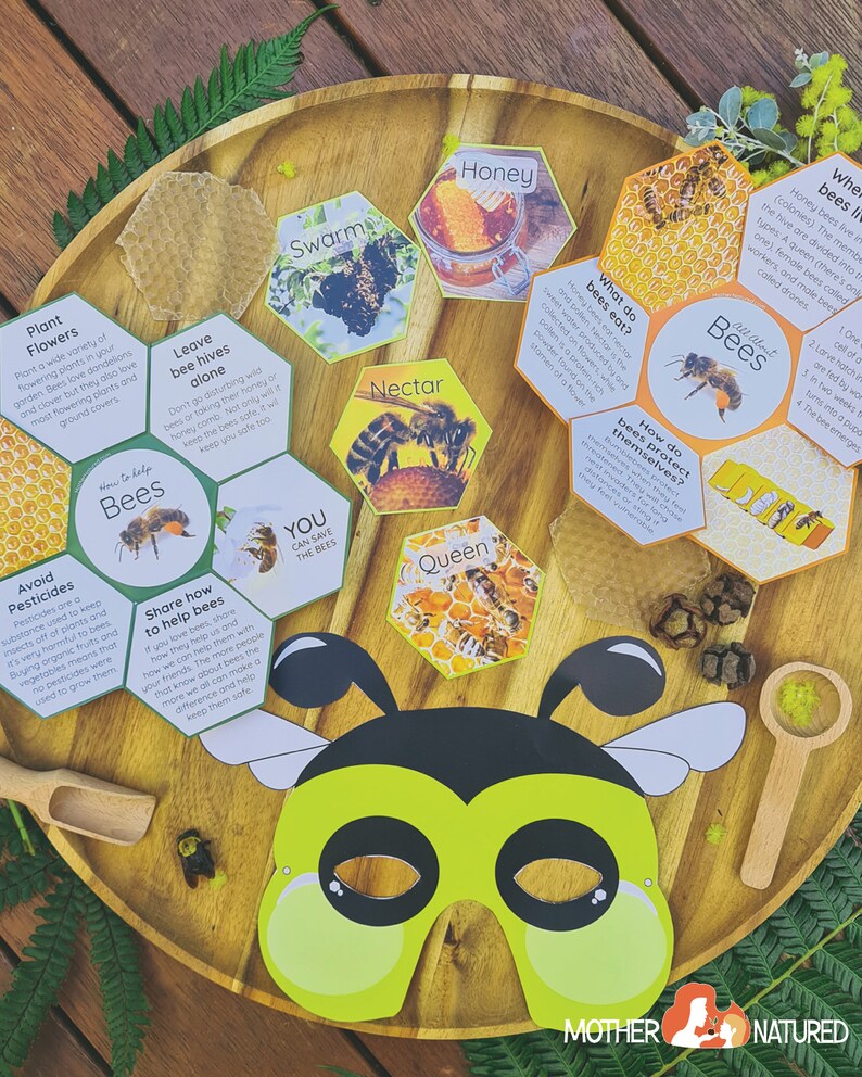 World Bee Day Printable Activity Pack | Bee Life Cycle, Bee Crafts, Bee ...