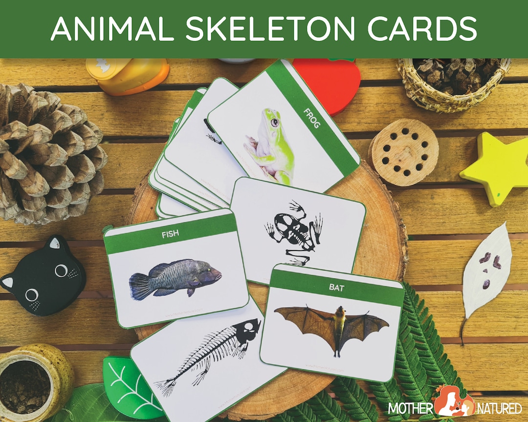 ANIMAL SKELETON MATCHING Cards for Kids Skeleton Printable - Etsy