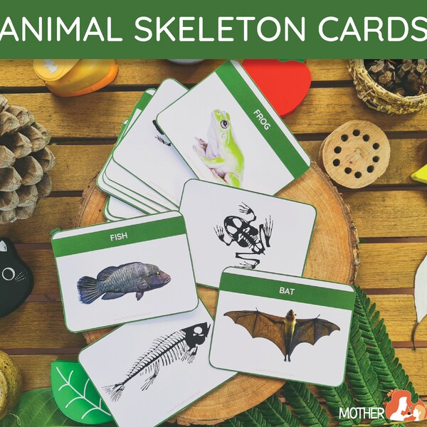 Animal Skeleton - Etsy