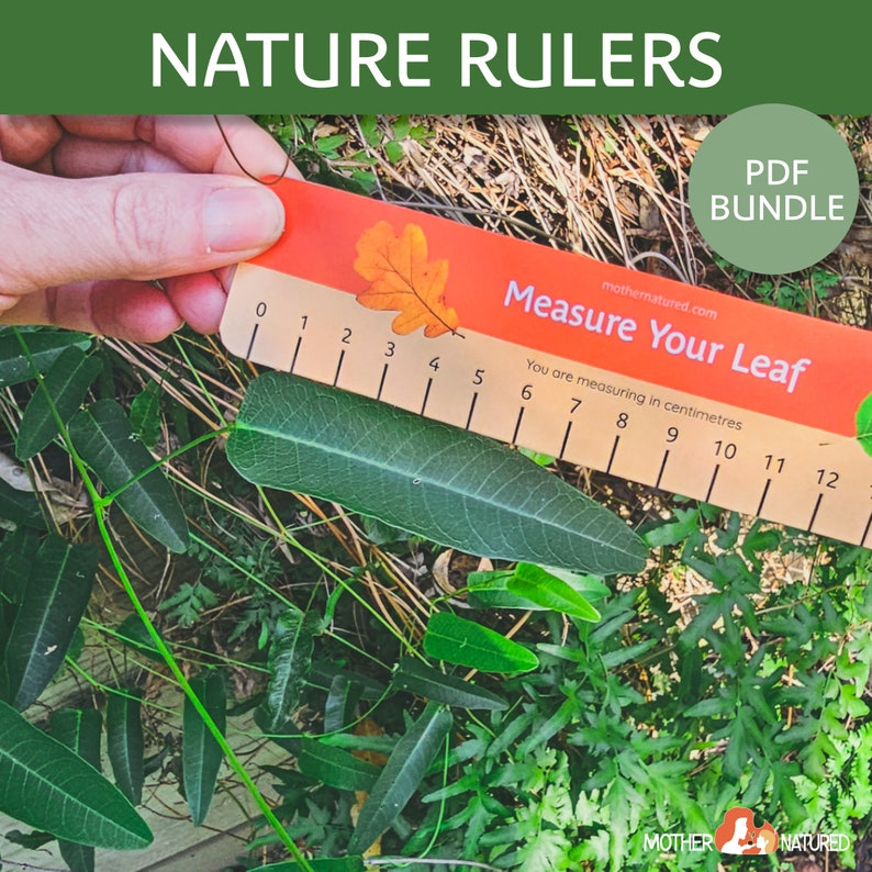 Measure Nature Rulers | Outdoor Play Printables | Nature Math | Nature ...