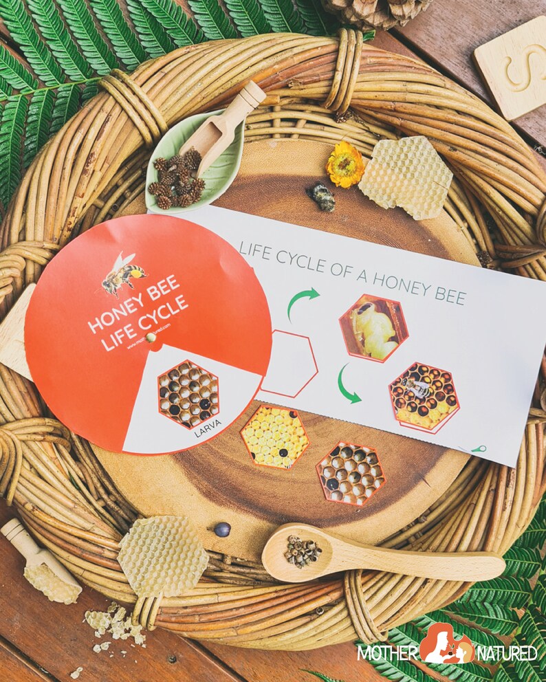Honey Bee Activity Pack - Etsy