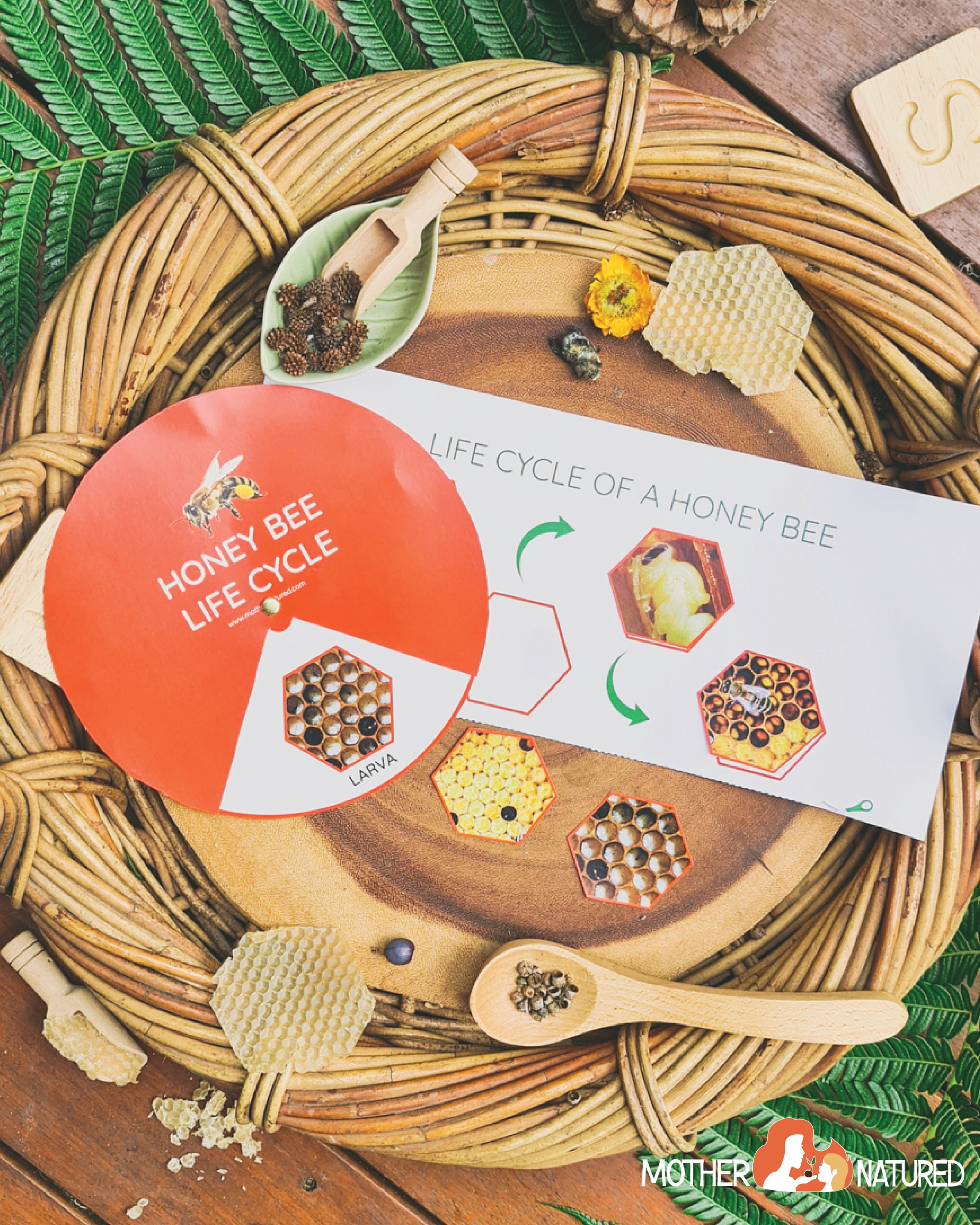 Honey Bee Activity Pack - Etsy