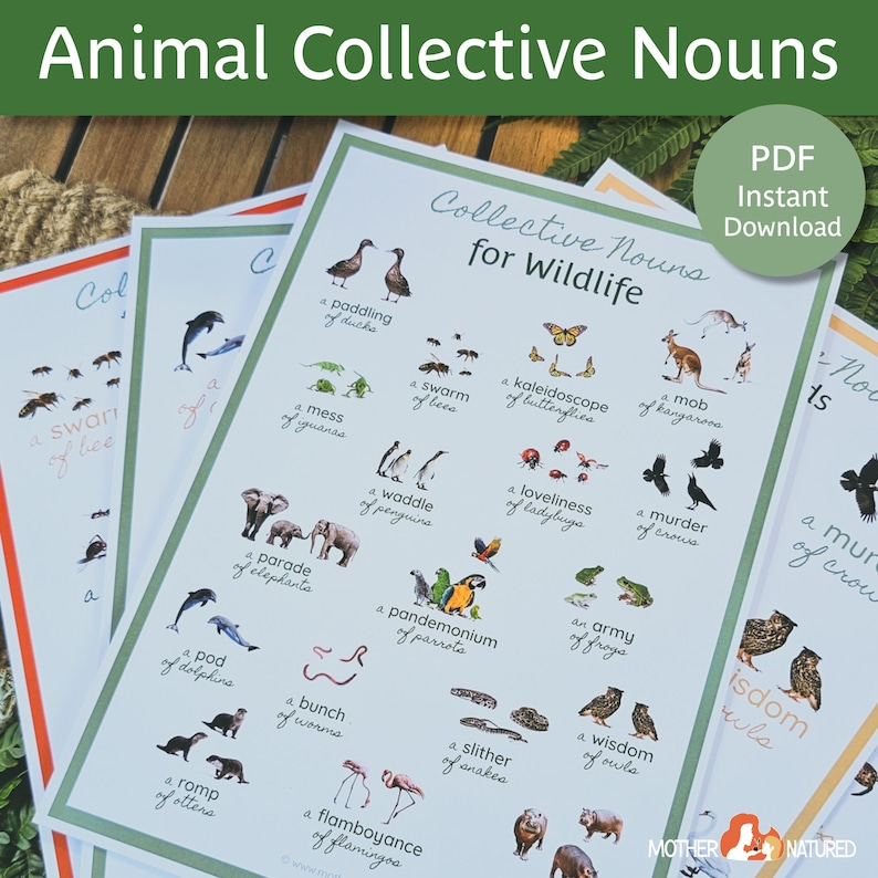Collective Nouns for Animals | Collective Nouns Poster | Collective ...