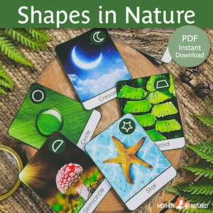 Nature Shapes Poster and Cards | Nature Shapes Preschool | Nature ...