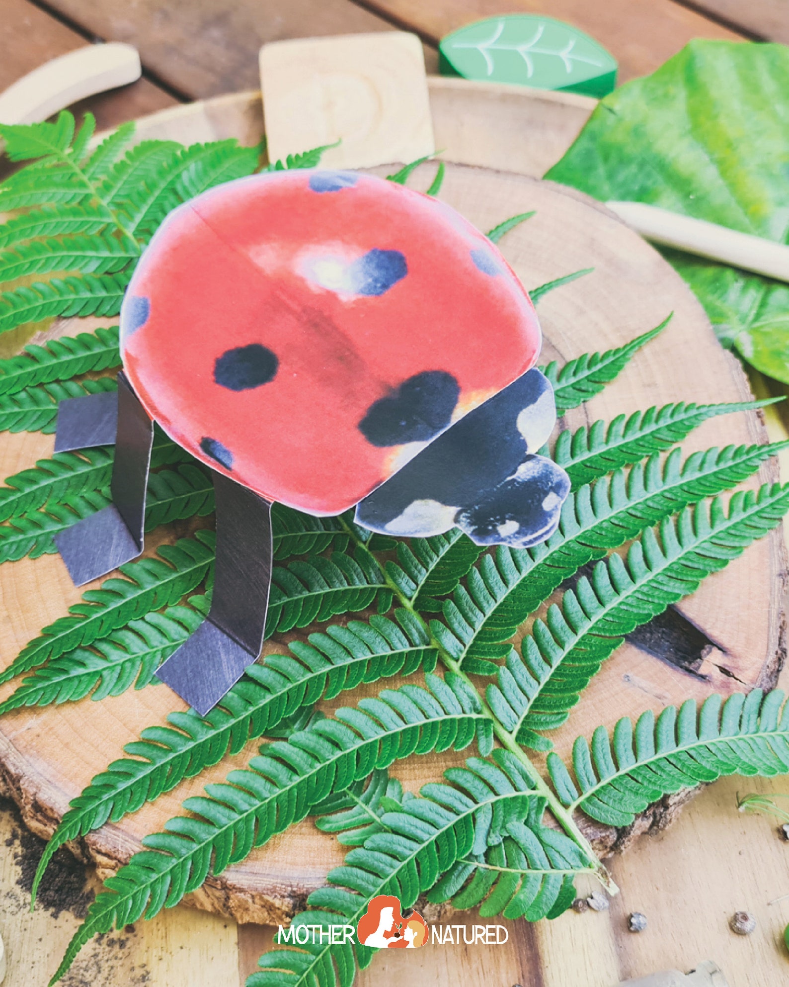 Ladybeetle Craft Ladybug Craft 3D Lady Beetle Craft Lady Bug Activity ...