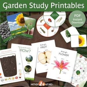 Garden Activity Printables for Kids | Garden Resources | Gardening With ...