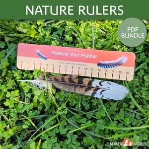 Measure Nature Rulers | Outdoor Play Printables | Nature Math | Nature ...