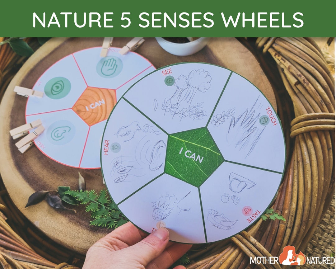 Five Senses Nature Wheel Nature Sensory Activity for Kids - Etsy