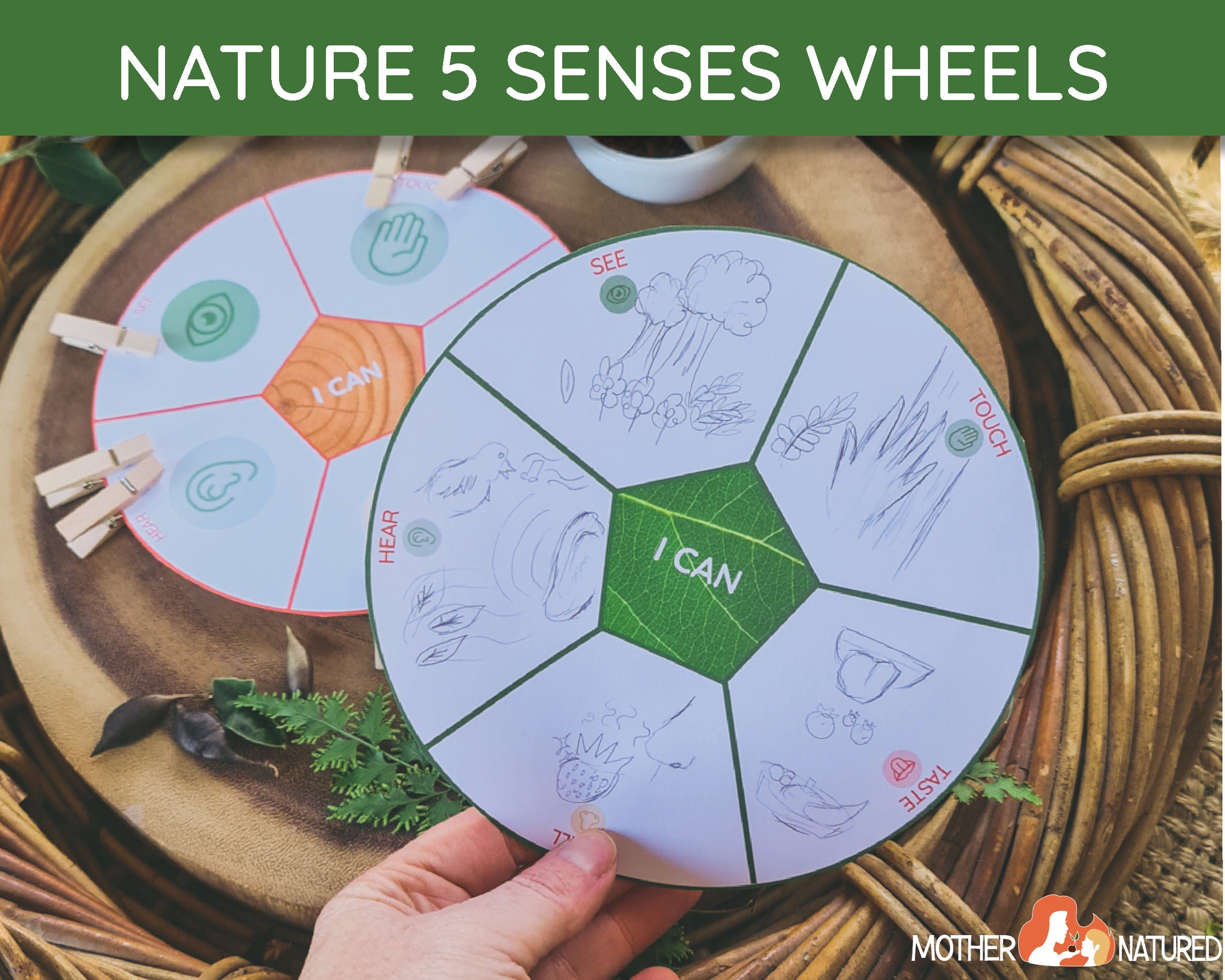 Five Senses Nature Wheel Nature Sensory Activity for Kids - Etsy
