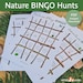 Nature Bingo Activity | Nature Bingo Scavenger Hunt | Nature Bingo Hunt ...