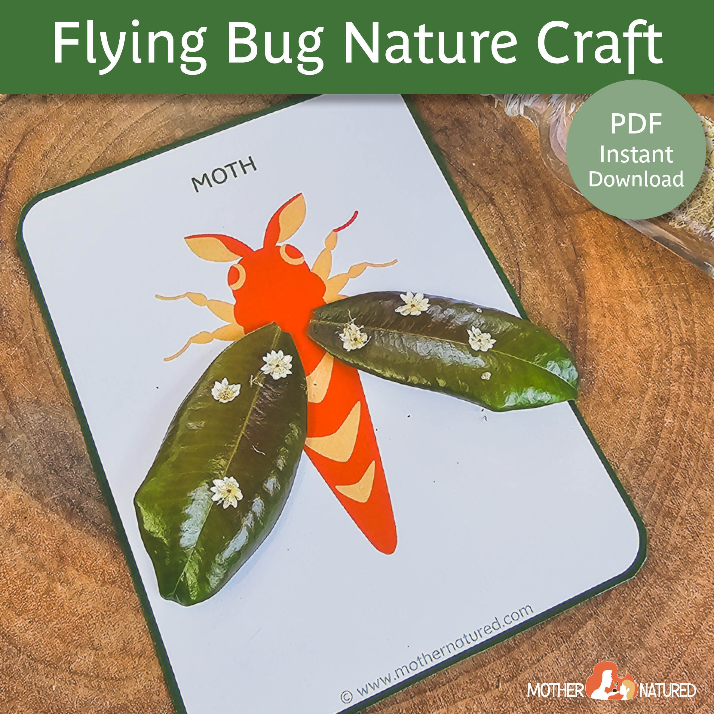 Insect Craft | Bug Nature Crafts | Bug Craft | Moth Craft | Insect Art ...