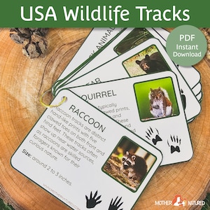 American Animal Tracks Guide | Animal Tracking for Kids | USA Animal ...