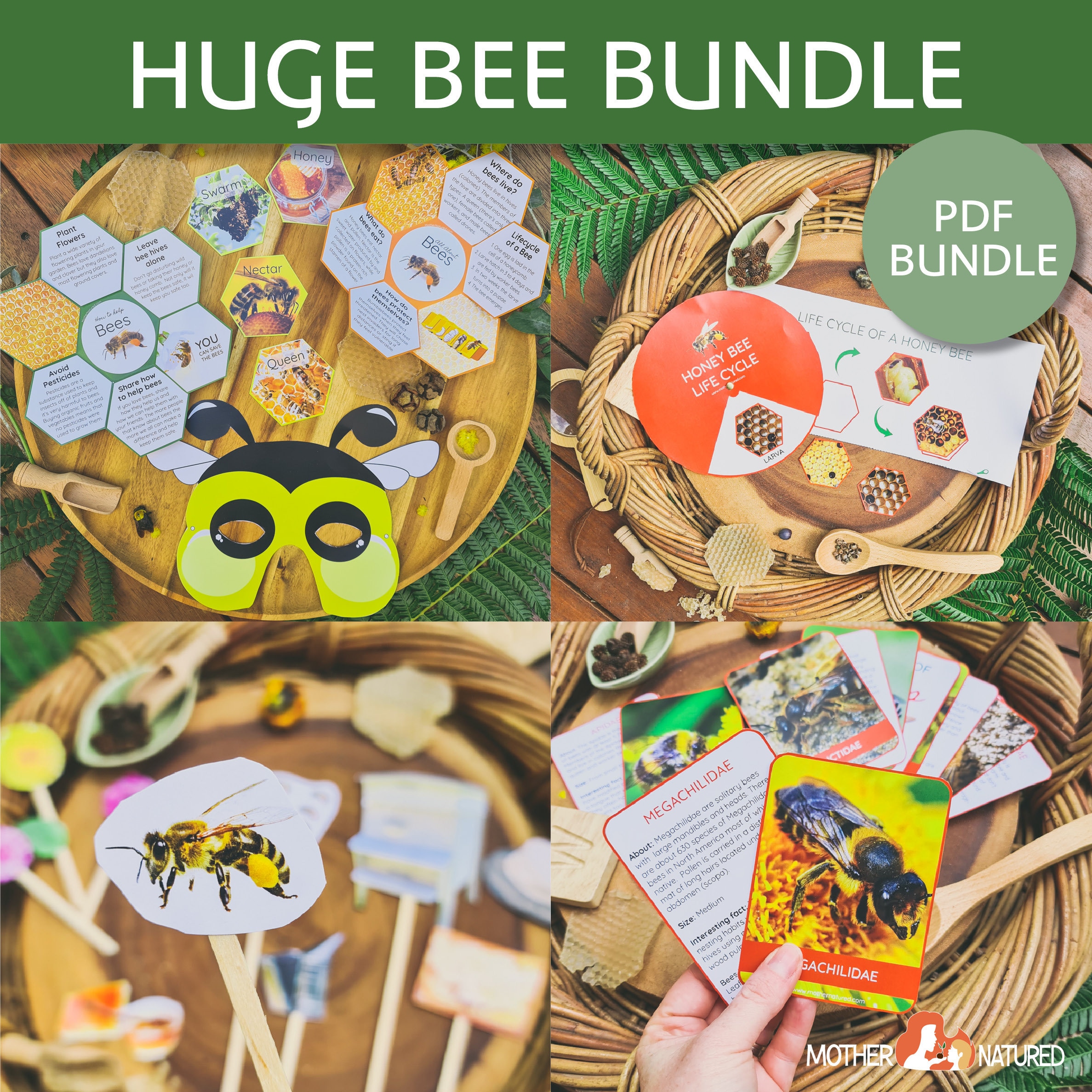 World Bee Day Printable Activity Pack | Bee Life Cycle, Bee Crafts, Bee ...