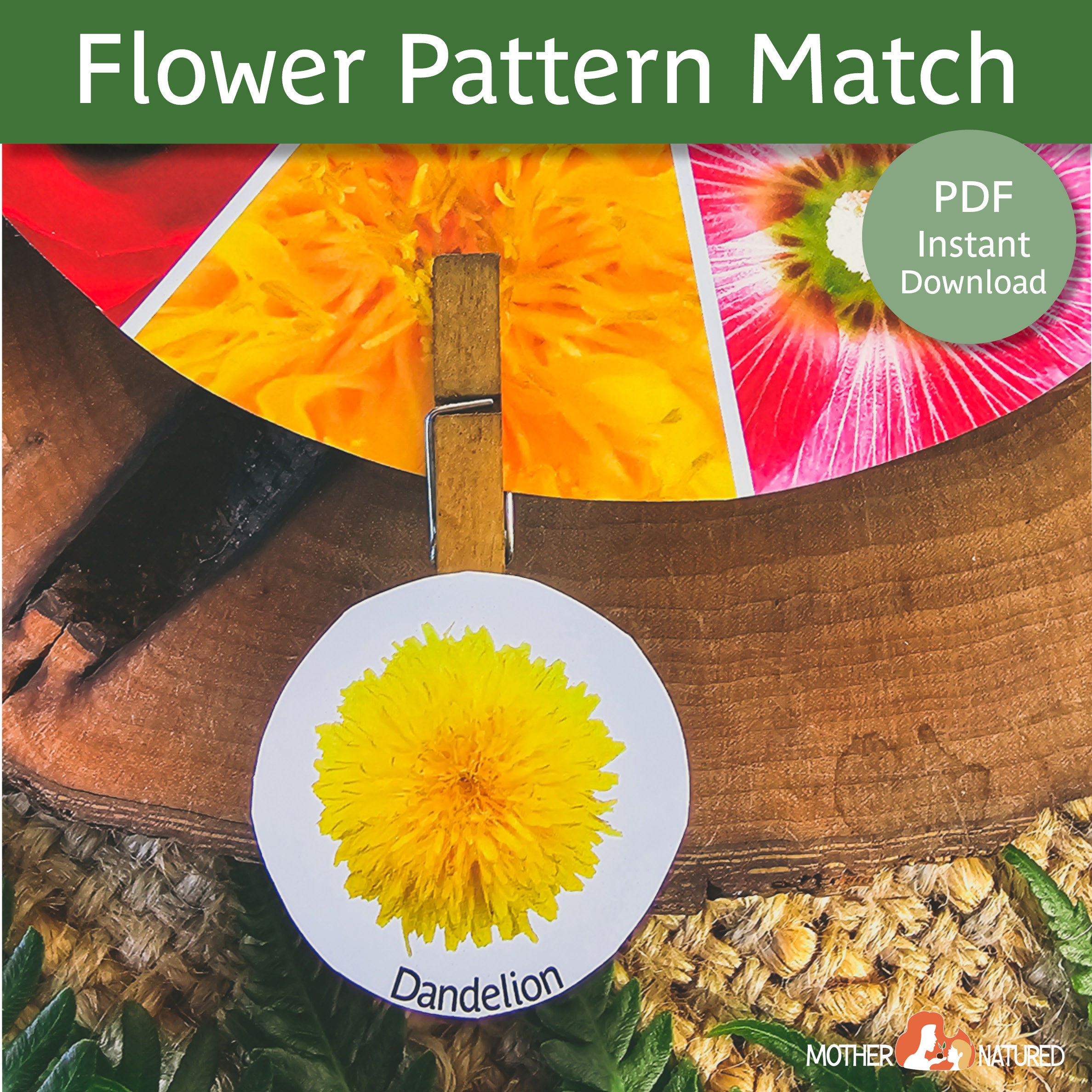 Flower Matching Activity Flower Pattern Activity Flower Study Printable ...