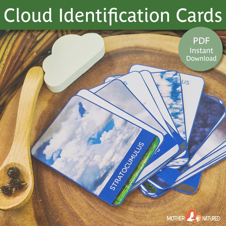 Cloud Identification Cards Types of Clouds Clouds - Etsy
