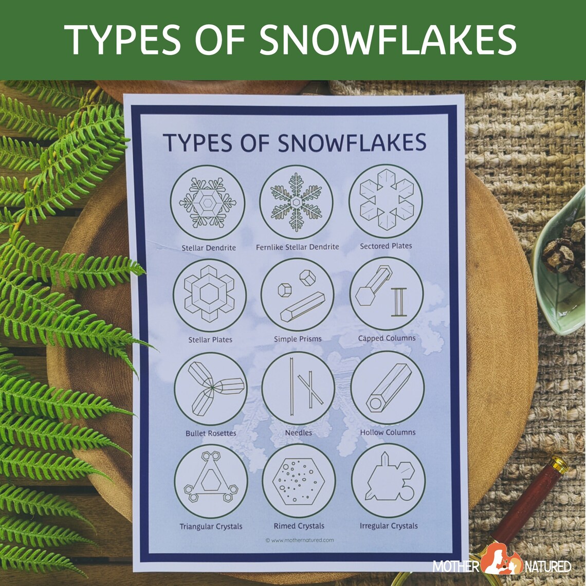 Types of Snowflakes Poster Snow Poster Snowflake Poster Winter Poster ...