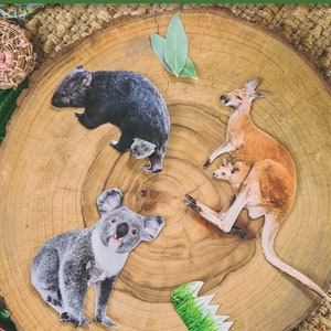 Australian Animal Puppets | Koala Puppets | Kangaroo Puppets | Wombat ...