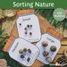 Animal Sorting Activity Nature Sorting Activity Outdoor - Etsy Australia