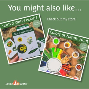 American Animal Tracks Guide | Animal Tracking for Kids | USA Animal ...