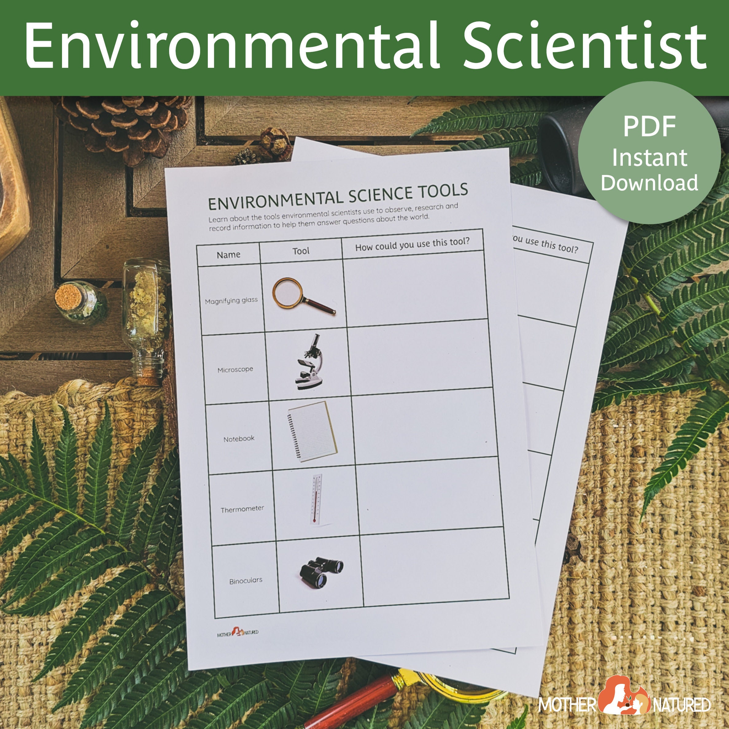 Paquete De Hojas De Trabajo Sobre Ciencias Ambientales Página 3