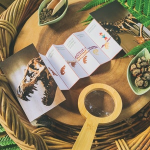 How Fossils Are Formed Accordion Craft FOSSIL CRAFT - Etsy