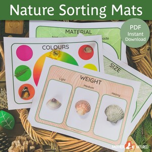 Sorting Mats for Kids | Classifying Nature Printables | Sorting Natural ...